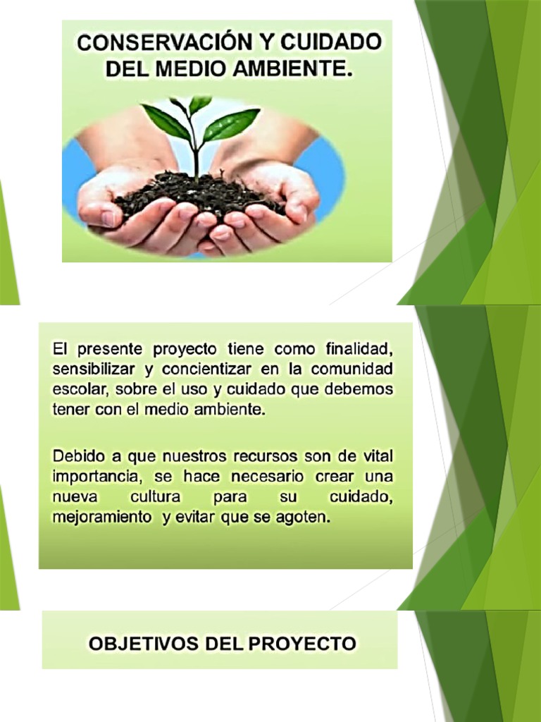Proyecto Medio Ambiente | PDF