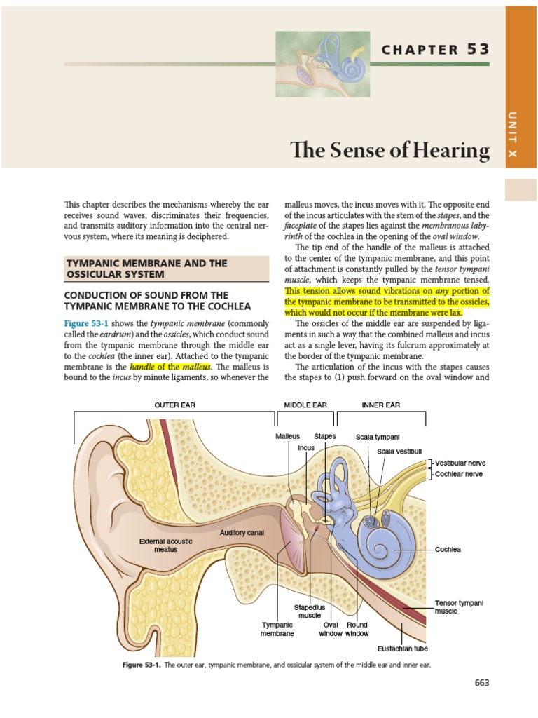 Hearing Physiology - Guyton | PDF | Ear | Auditory System