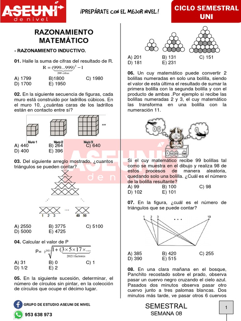 RM 08 Semestral | PDF