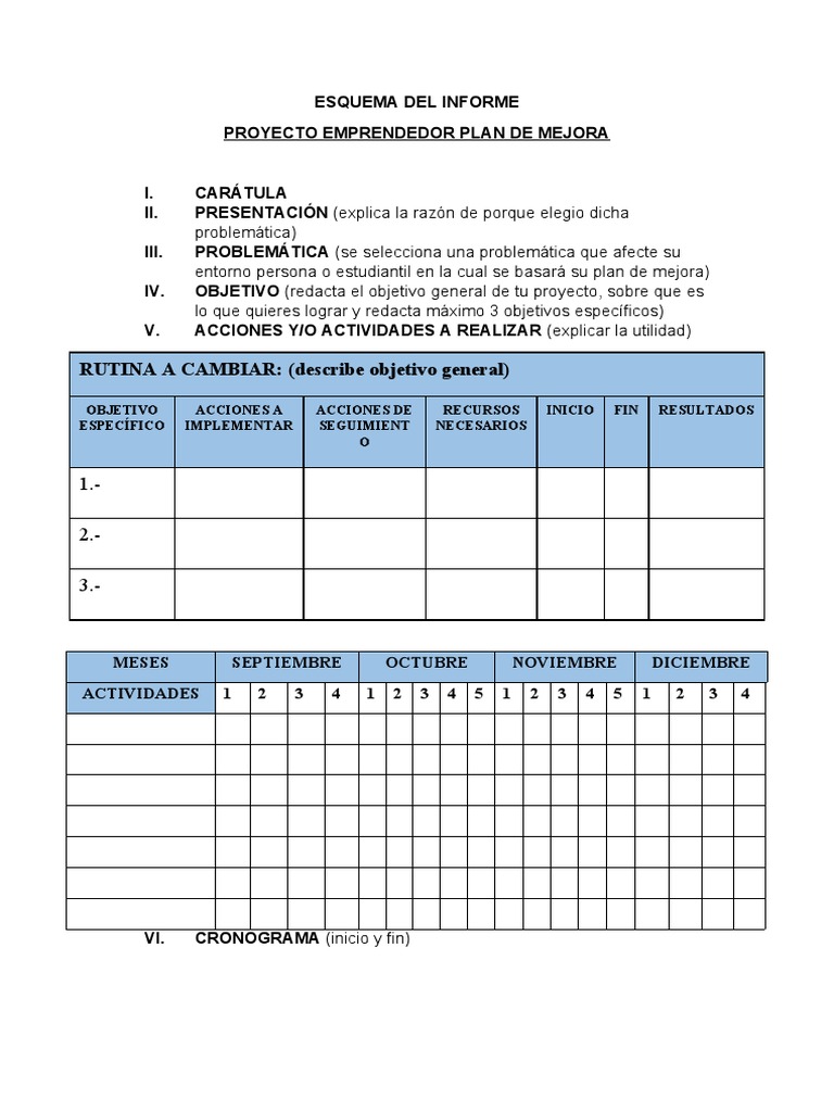 Esquema Del Informe - Proyecto de Mejora | PDF