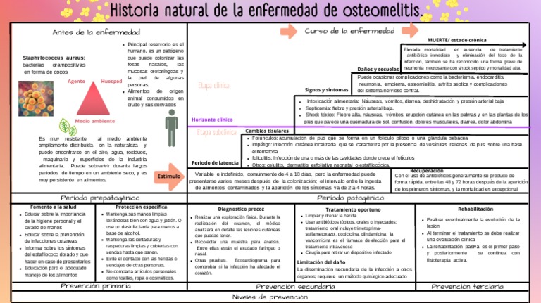 Estafilococo Dorado Historia Natural | PDF | Staphylococcus Aureus ...