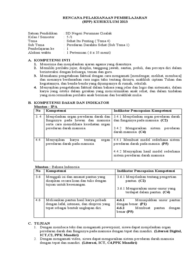 RPP 5 4 1 1 PDF