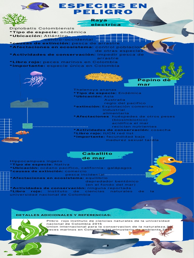Infografía de Datos Sobre El Mar Animales Marinos Recortes Azul | PDF