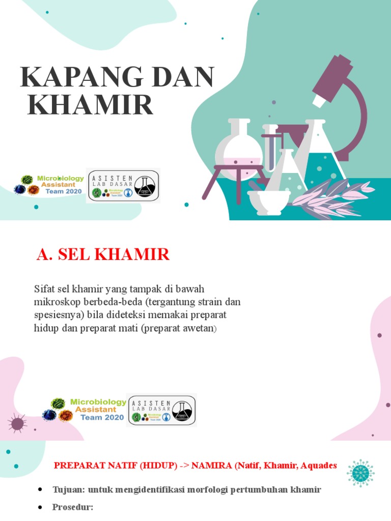 Morfologi Sel Khamir dan Kapang | PDF | Kesehatan Holistik | Sains ...
