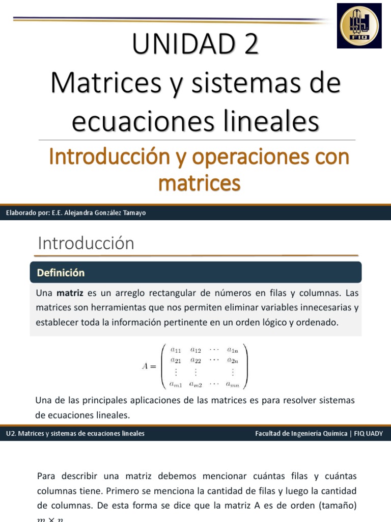Introducción Matrices | PDF | Matriz (Matemáticas) | Ecuaciones