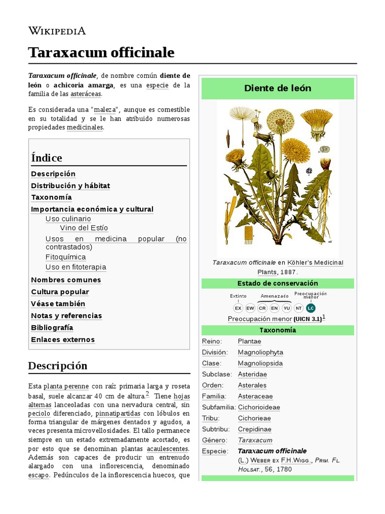 Taraxacum Officinale | PDF | Plantas | Botánica