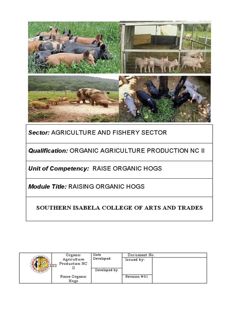 Raising Organic Hogs Guide | PDF | Pig | Nutrients