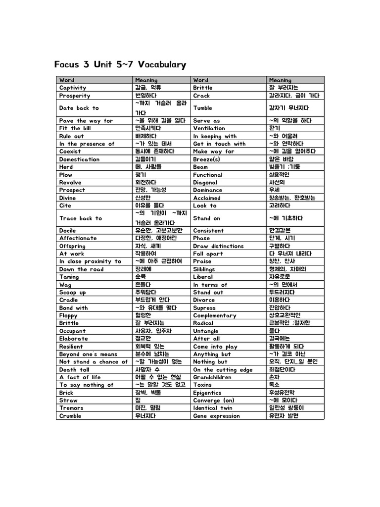 Focus 3 Vocabulary | PDF