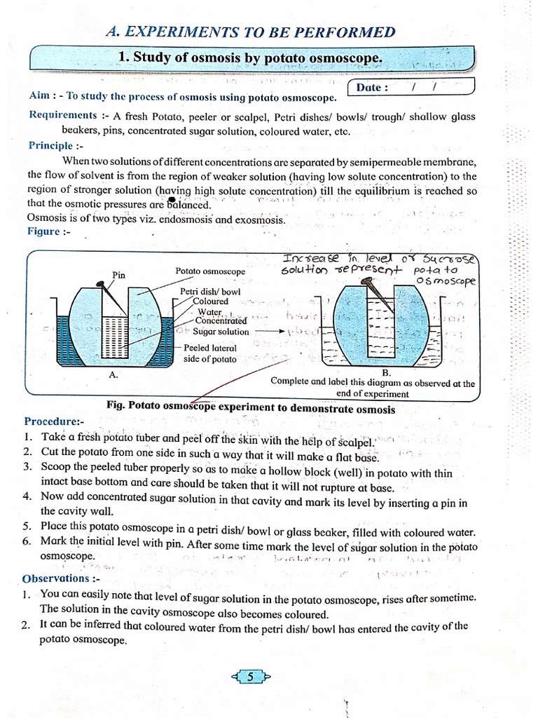 Biology Practical Notebook | PDF