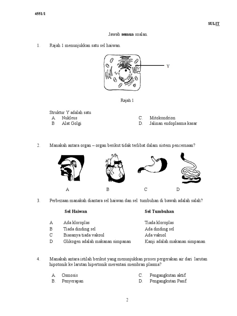 K1 BIO F4 2022 Edit | PDF