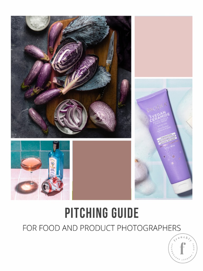 Pitching Guide - Frenchly | PDF