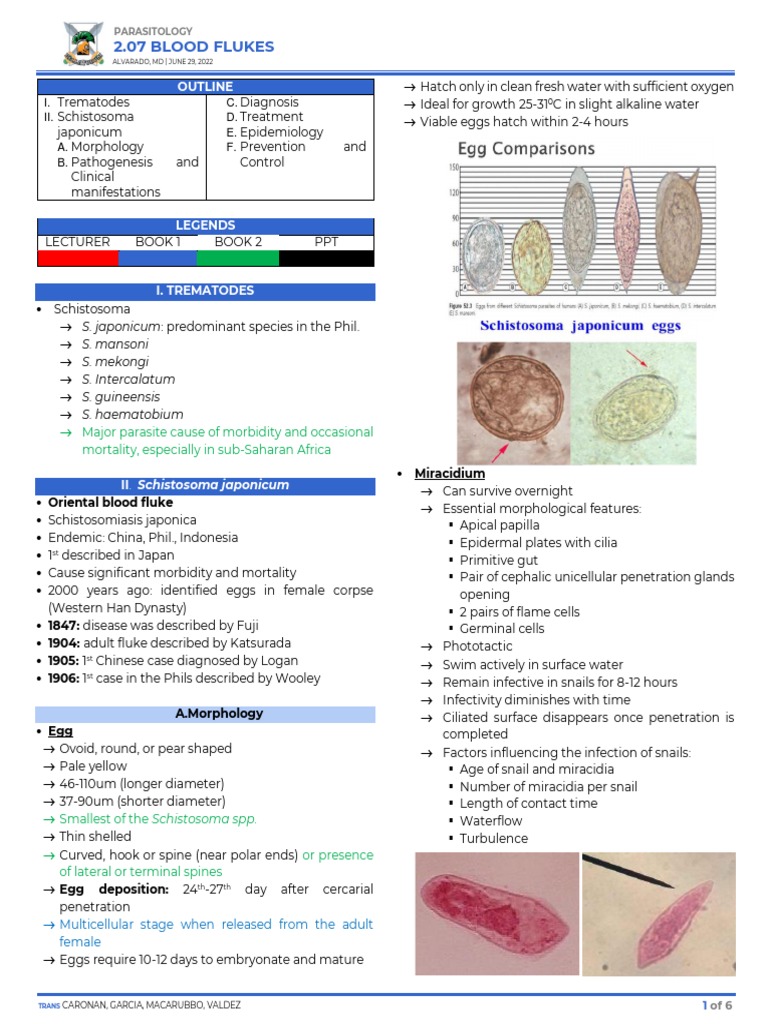 (PARA) 2.07 - Blood Flukes - Dr. Alvarado | PDF | Clinical Medicine ...