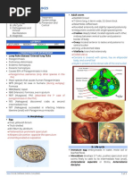 Slit Skin Smear Test Guide | PDF | Leprosy | Cytopathology