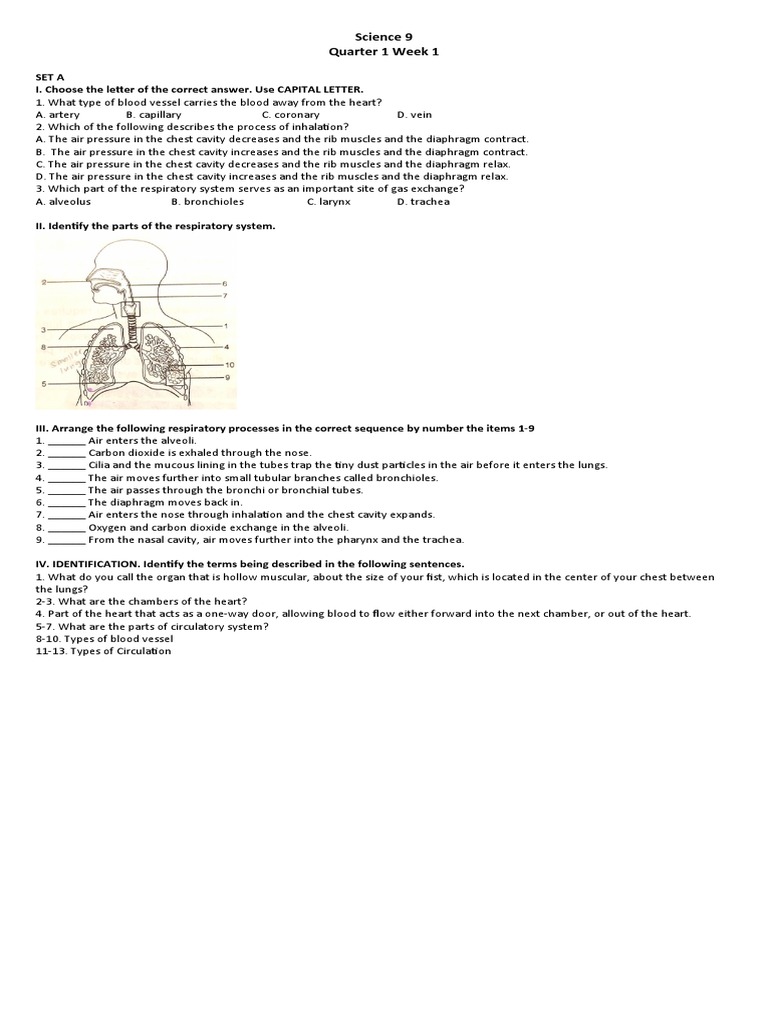 Test Science 9 m1 w1 q1 | PDF | Respiratory Tract | Heart
