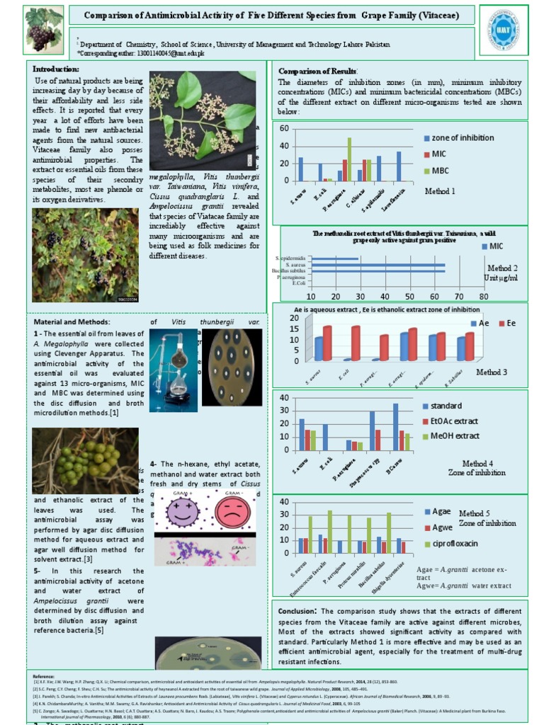 Sample Poster | PDF | Antimicrobial | Medical Specialties