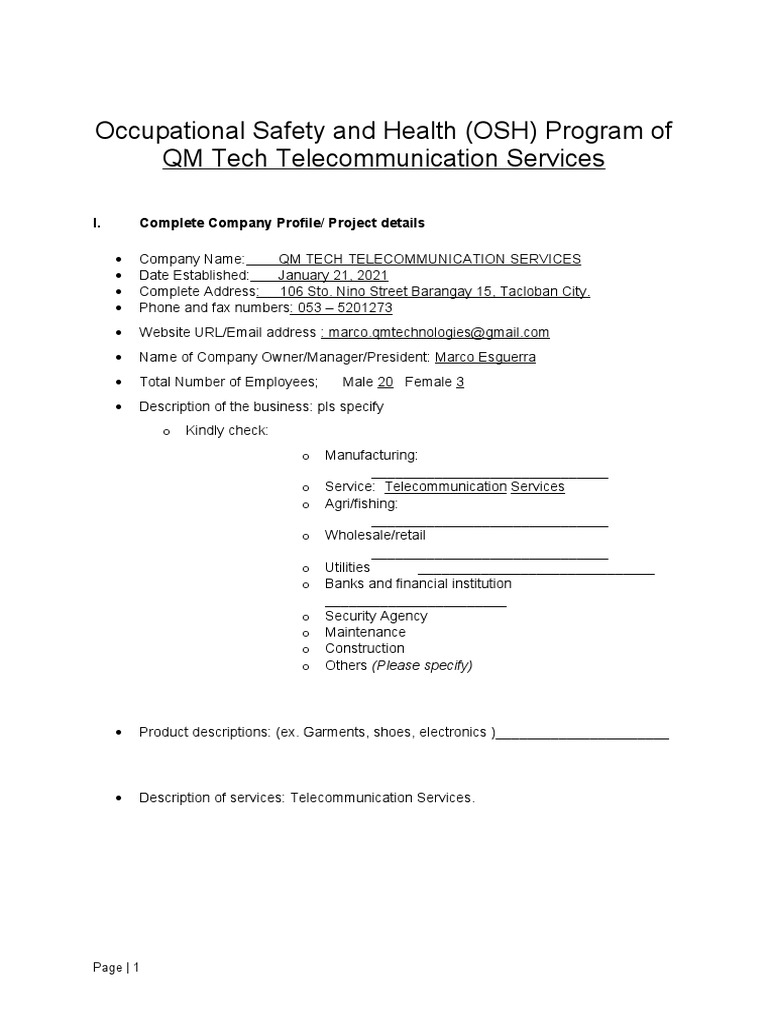 DOLE Template OSHprogram Asof 290119 | PDF | Occupational Safety And ...