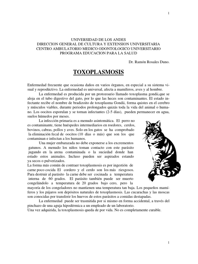 Toxo 2 | PDF