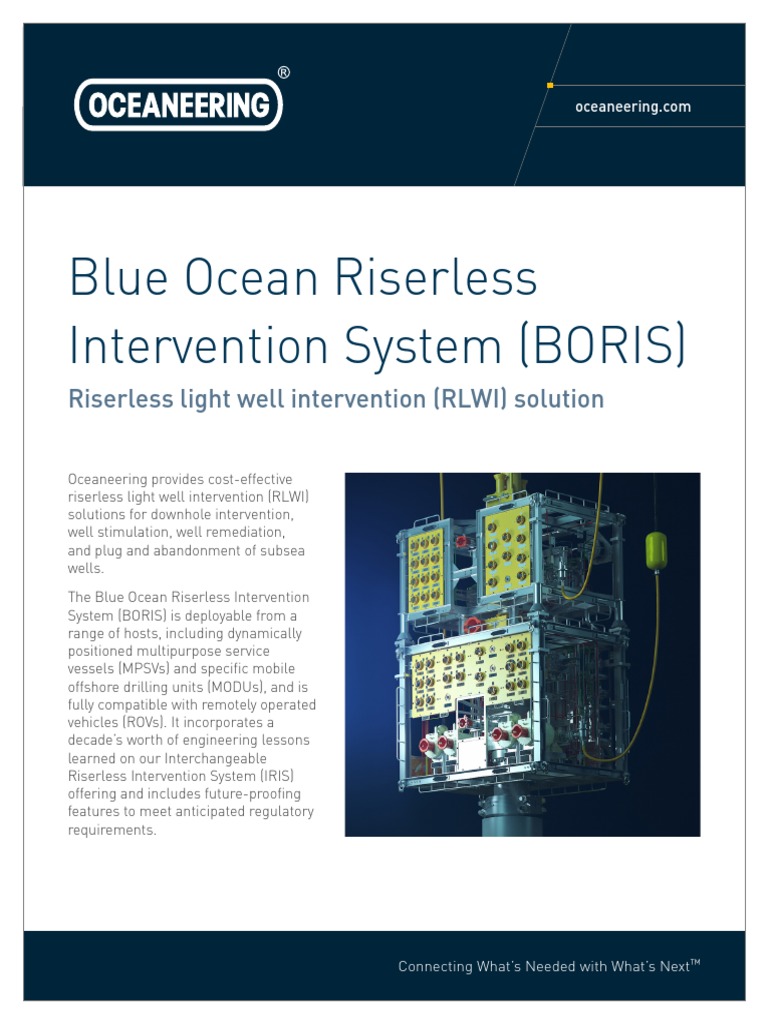 ST&R Blue Ocean Riserless Intervention System (BORIS) | PDF ...