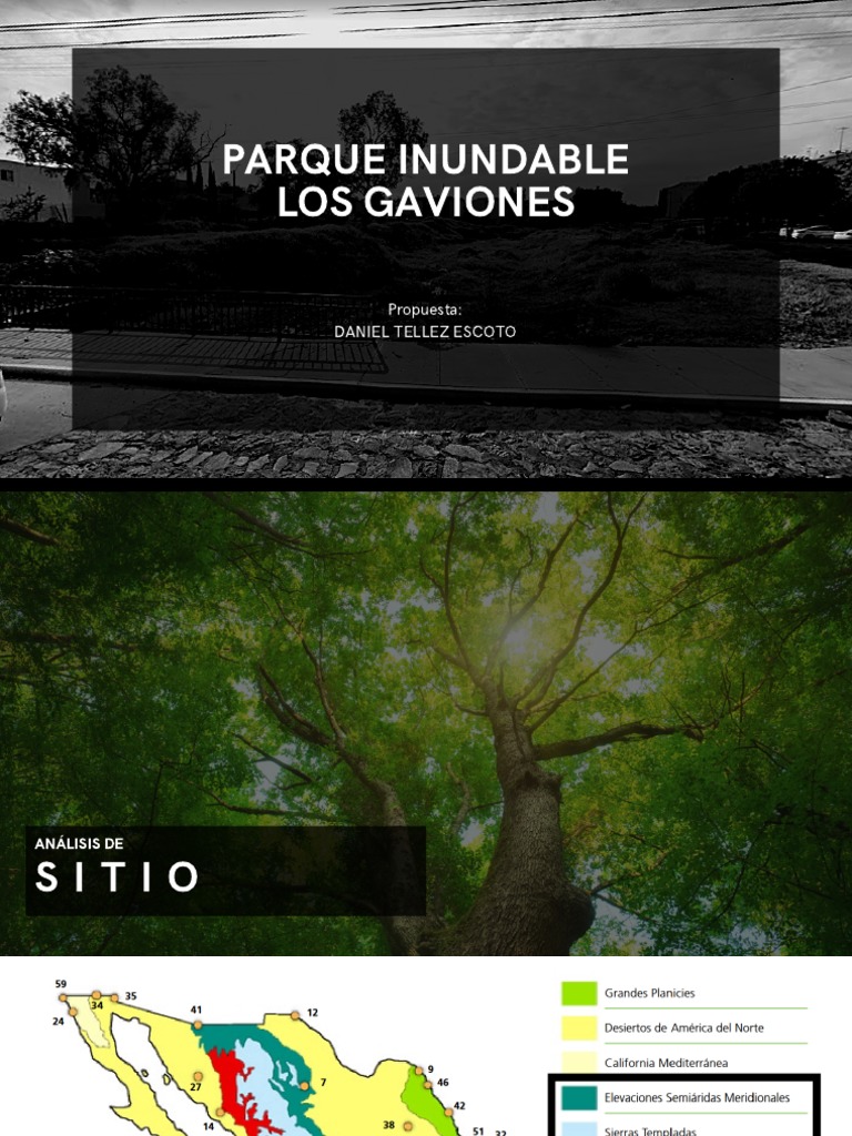 Parque Inundable Los Gaviones | PDF | Arboles | Hoja