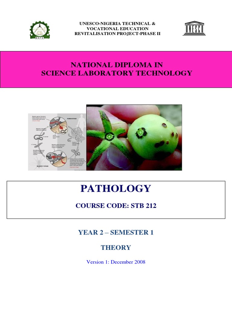 UNESCO-NIGERIA TECHNICAL & VOCATIONAL EDUCATION PROJECT | PDF ...