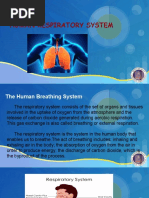 Science Grade 9 | PDF | Respiratory System | Lung