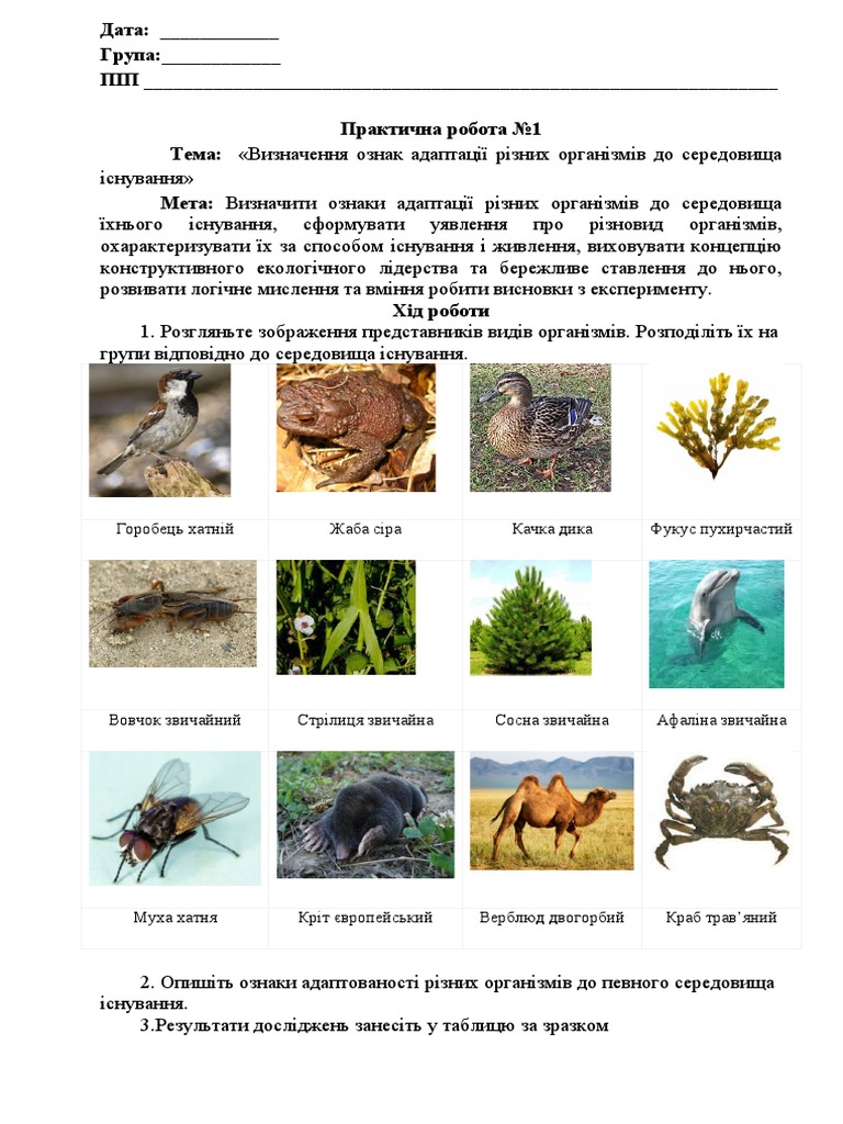 Практична робота 1 Адаптації Pdf