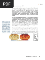 Geography Grade 12 CLIMATE and WEATHER Notes 2023 | PDF | Tropical ...