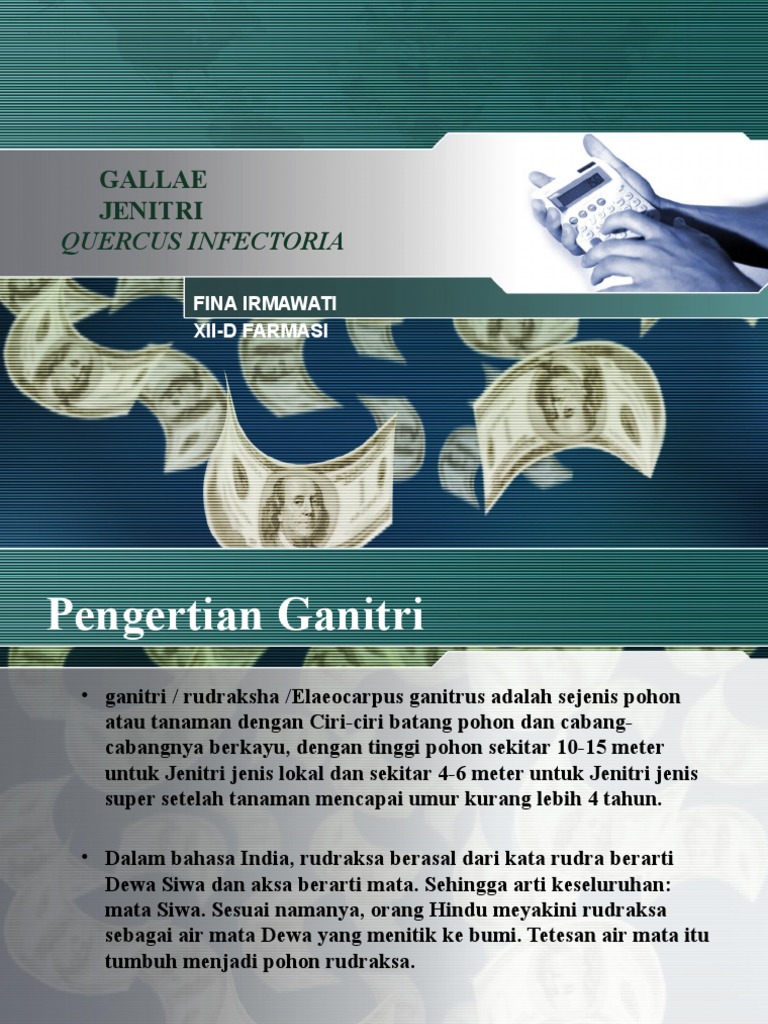 Ciri dan Manfaat Pohon Jenitri | PDF