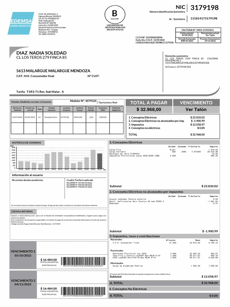 Cómo Descargar Factura de Edemsa | PDF | Mercado (economía) | Finanzas ...