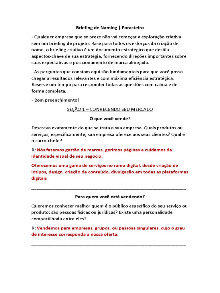 Breve briefing para nome de marca digital | PDF | Marketing | Inovação