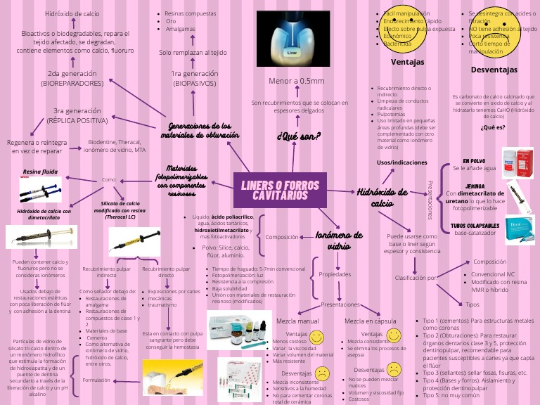 Liners o Forros Cavitarios - Dulce - Alejandra - Palestina - Díaz | PDF ...