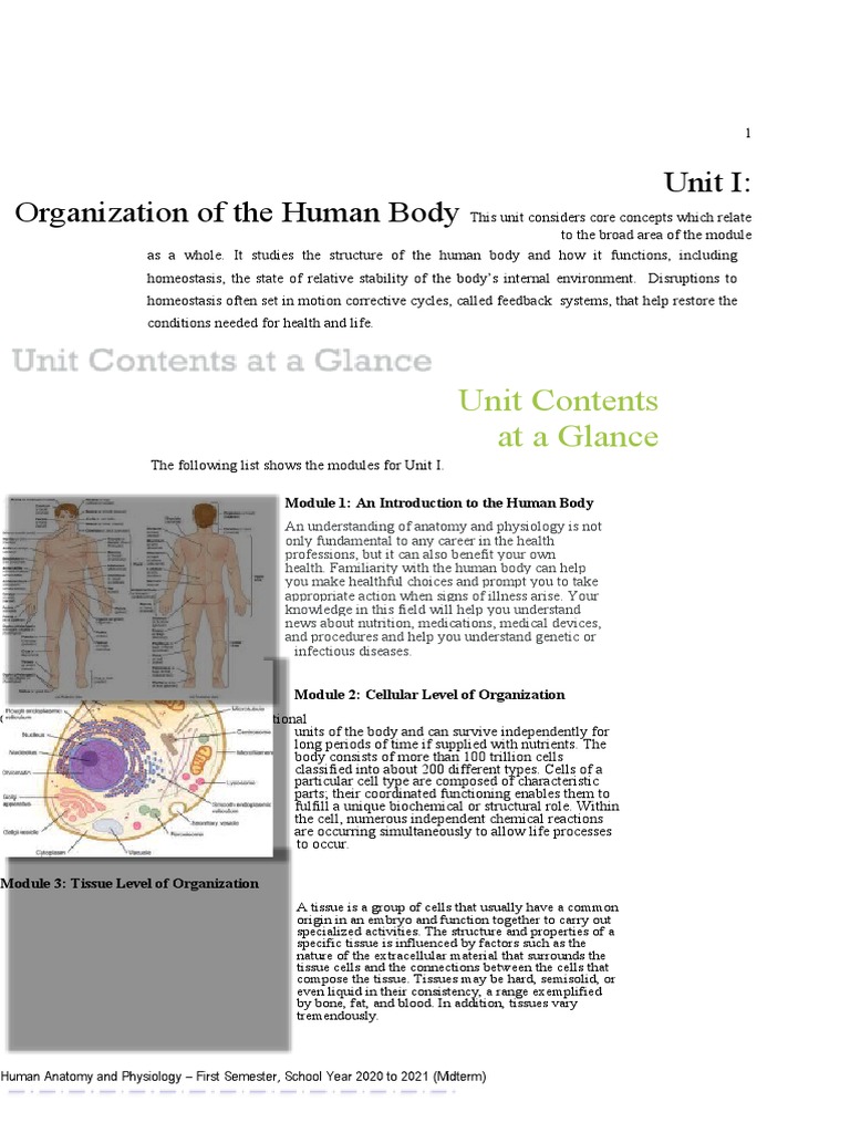 Introduction to Human Anatomy Module 1 | PDF | Human Body | Anatomy