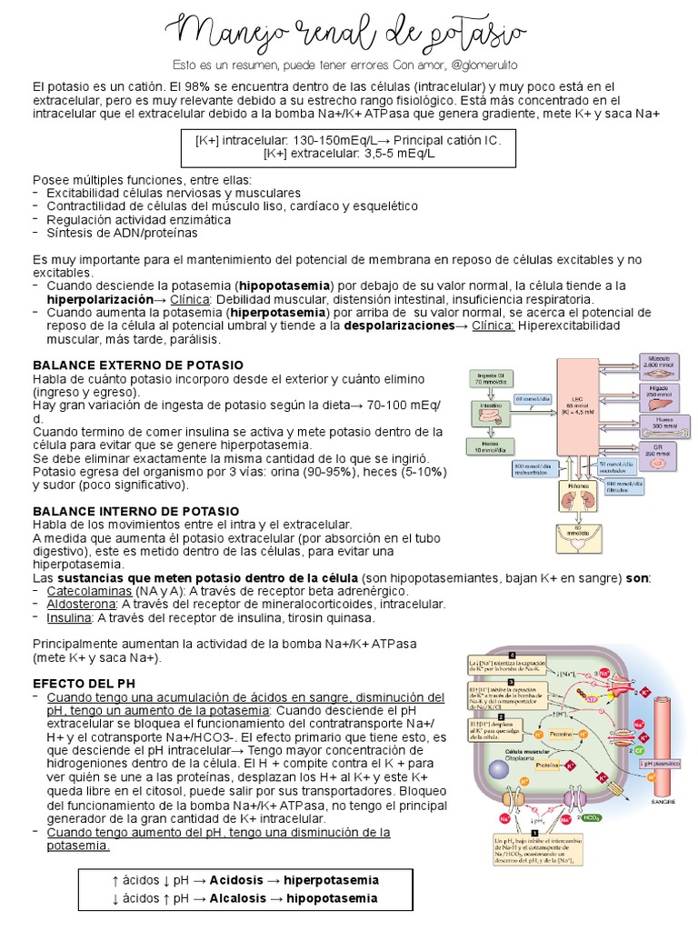 2.manejo Renal de Potasio | PDF | Potasio | Química