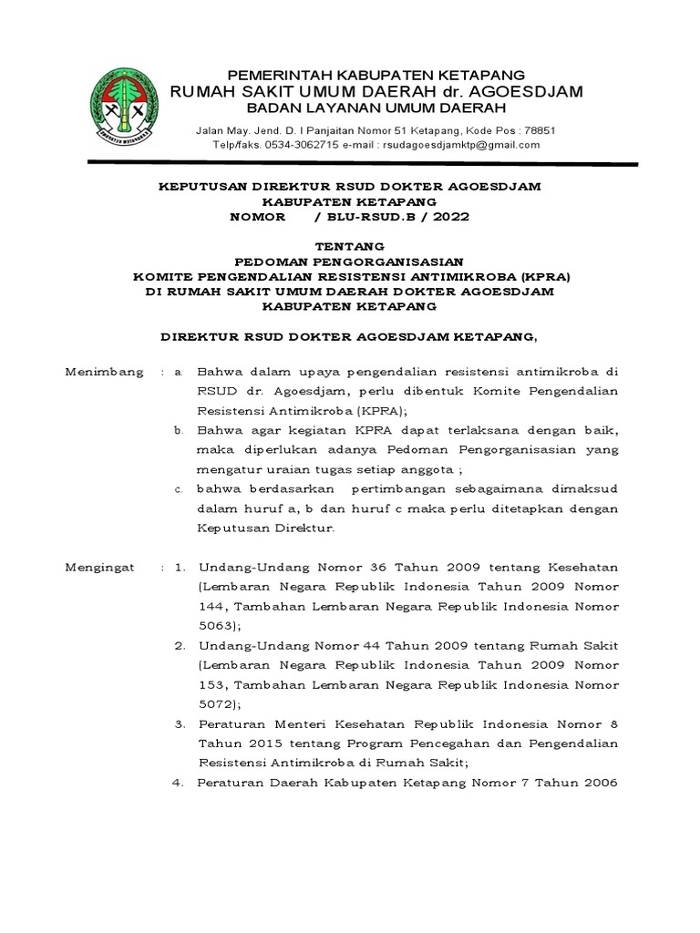 SK Pedoman Pengorganisasian Kpra 2022 | PDF