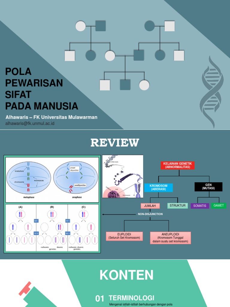 Pola Pewarisan Sifat | PDF