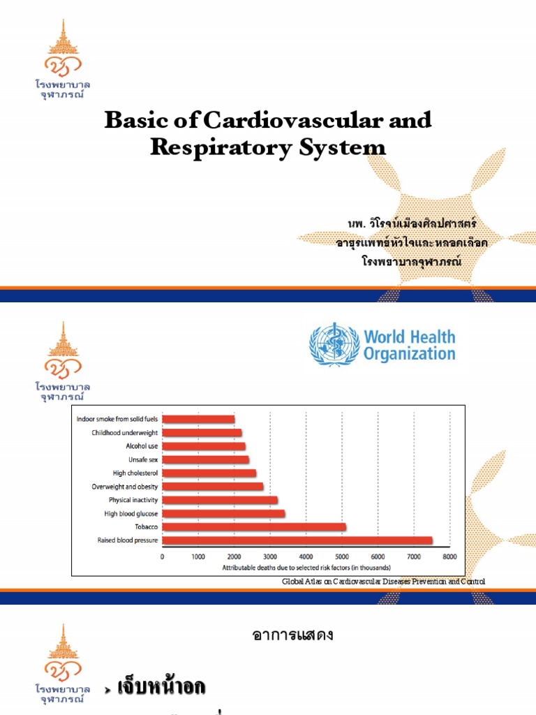 Basic of Cardiovascular and Respiratory System | PDF | Respiratory ...