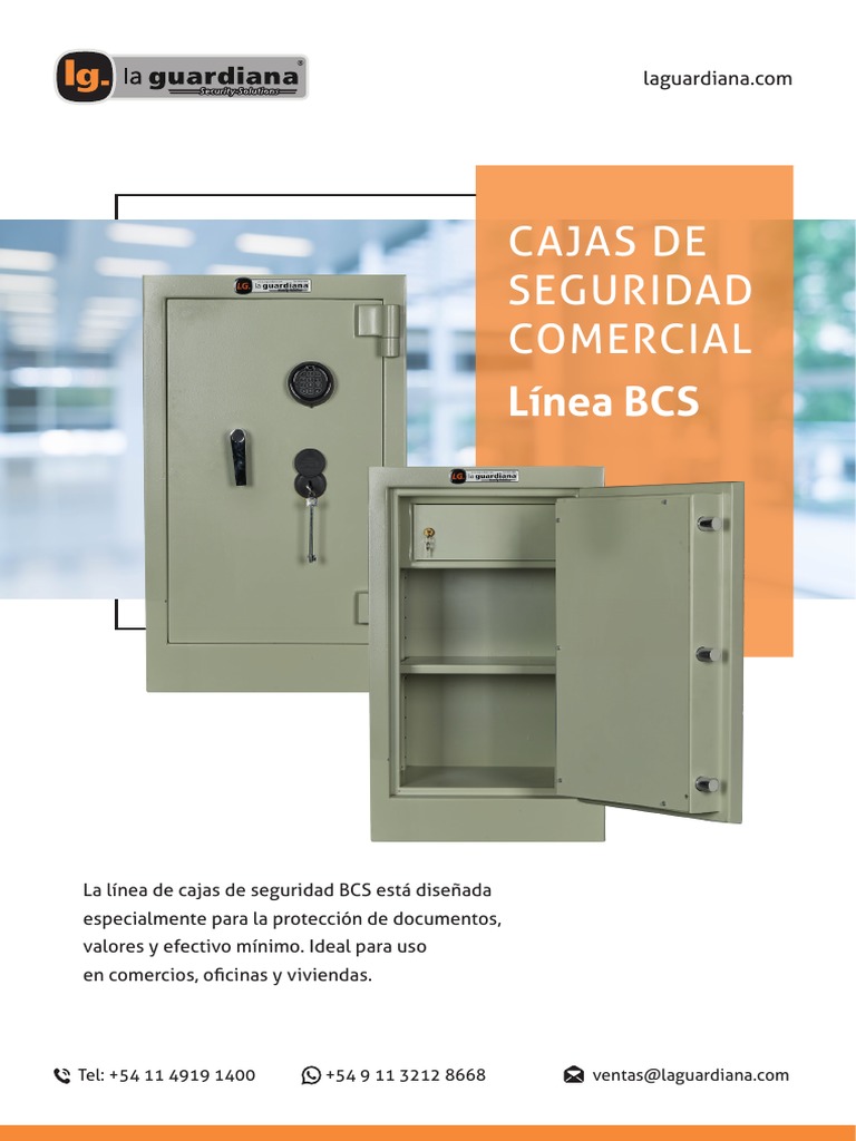 Flyer Caja-Seguridad-BCS LaGuardiana | PDF