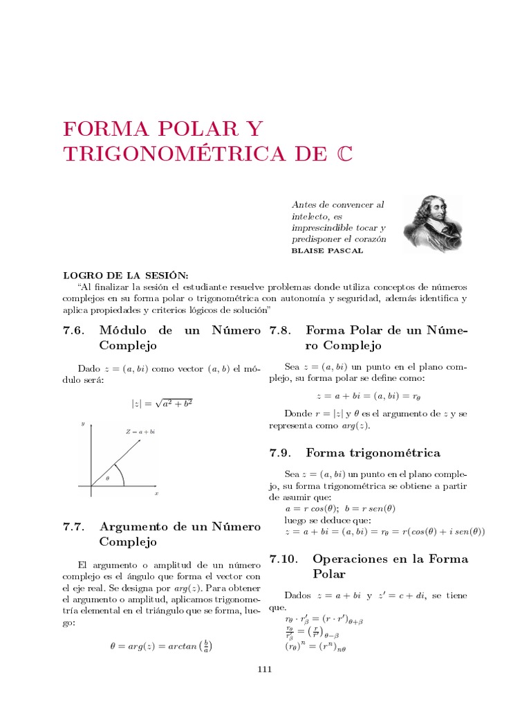 Forma Polar y Trigonometrica de Numeros Complejos | PDF | Número ...