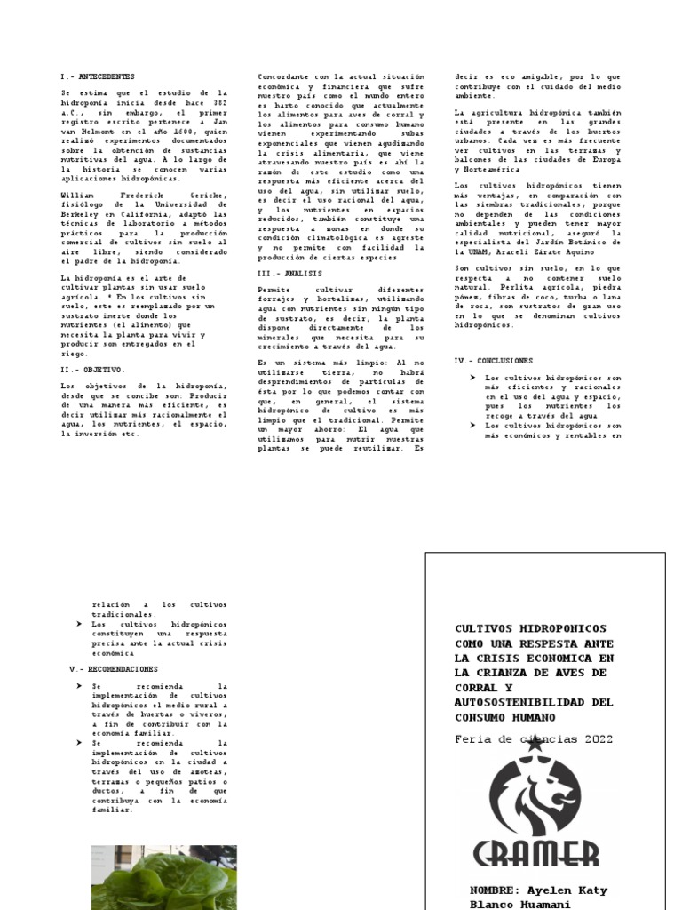 HIDROPONIA Tripticos | PDF | Hidroponia | Agricultura