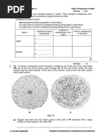 IGCSE Biology Topic 8 Transport in Plants Presentation | PDF | Leaf ...