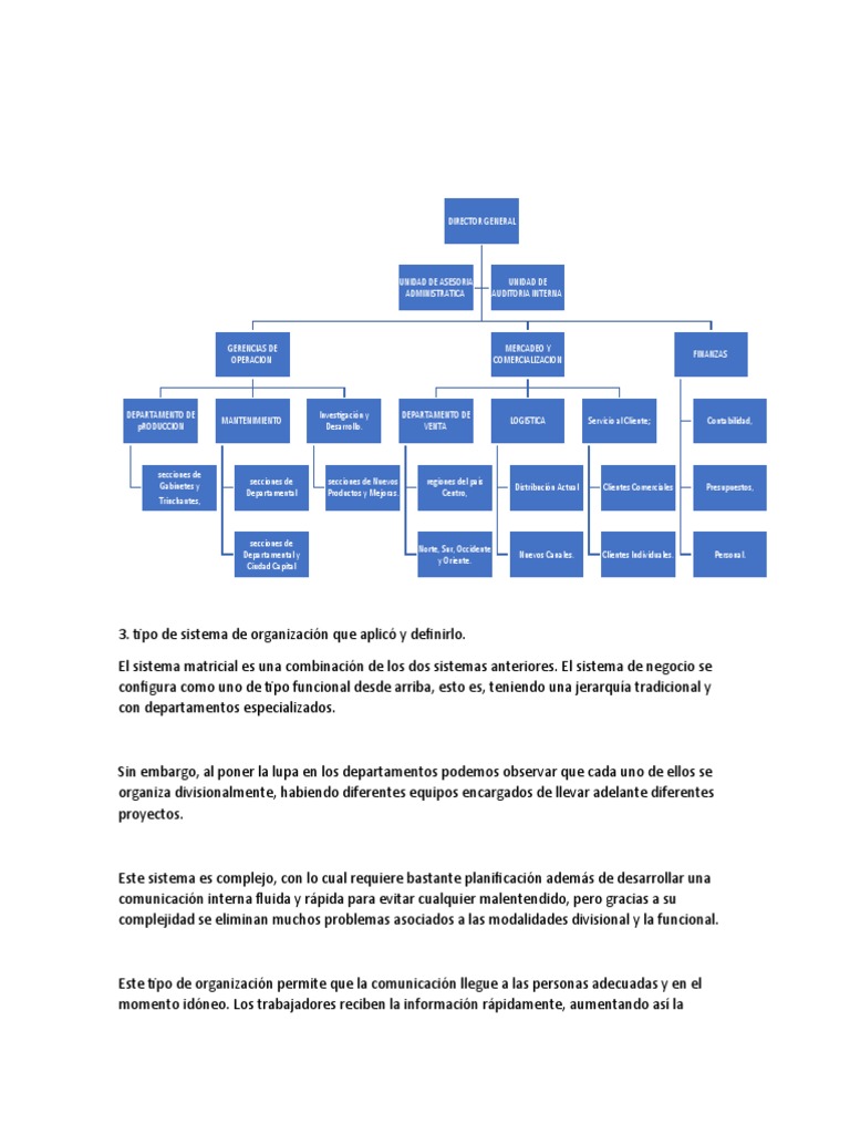 Organigrama Mixto de La Estructura de La Organización Adoptada. | PDF ...
