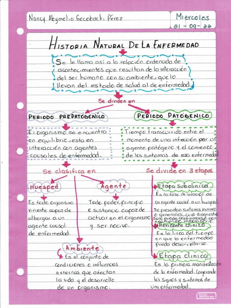 Mapa Conceptual de La Historia Natural de Enfermedad | PDF
