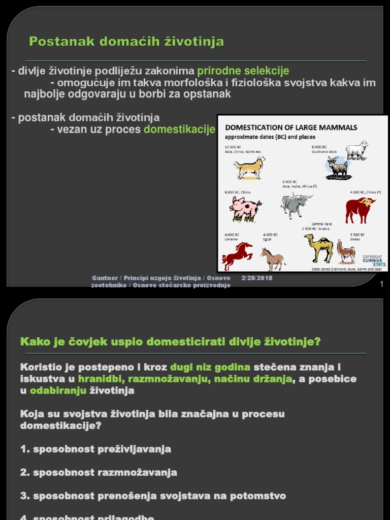 Principi Uzgoja Zivotinja - Porijeklo, Pojam I Domestikacija Domacih ...