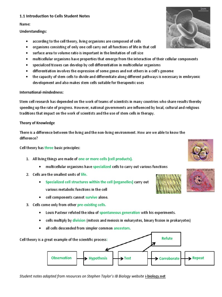 1.1 Introduction To Cells Student Notes | PDF | Cell (Biology) | Organisms