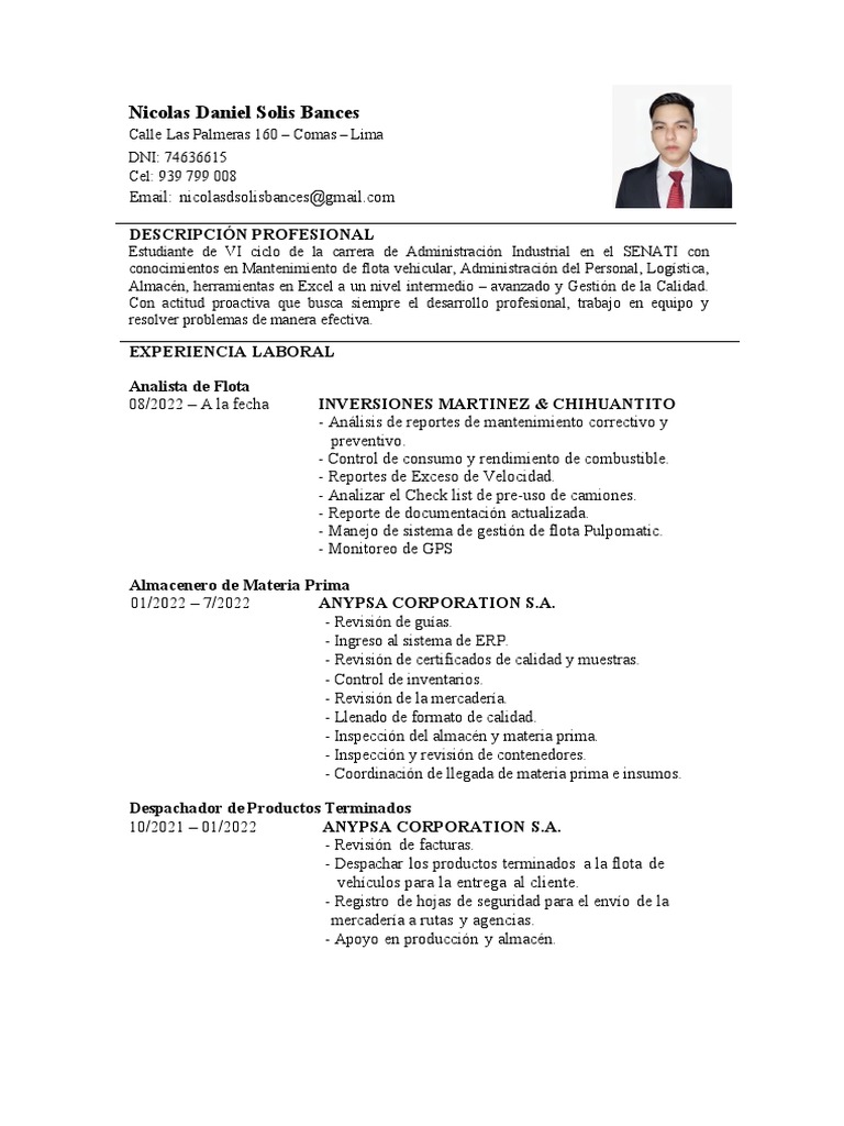 CV Nicolas Solis | PDF | Business | Informática
