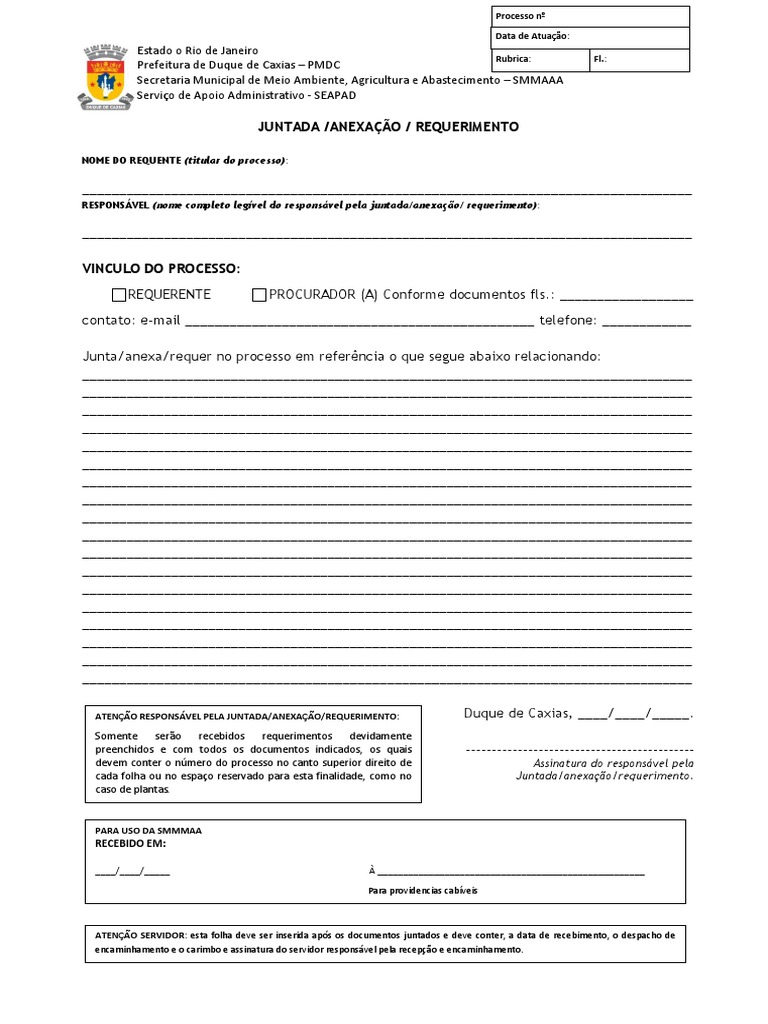 Modelo de Juntada de Documentos | PDF