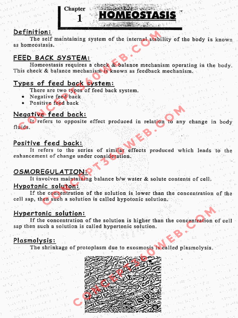 Biology Class 12 Chapter 1 | PDF