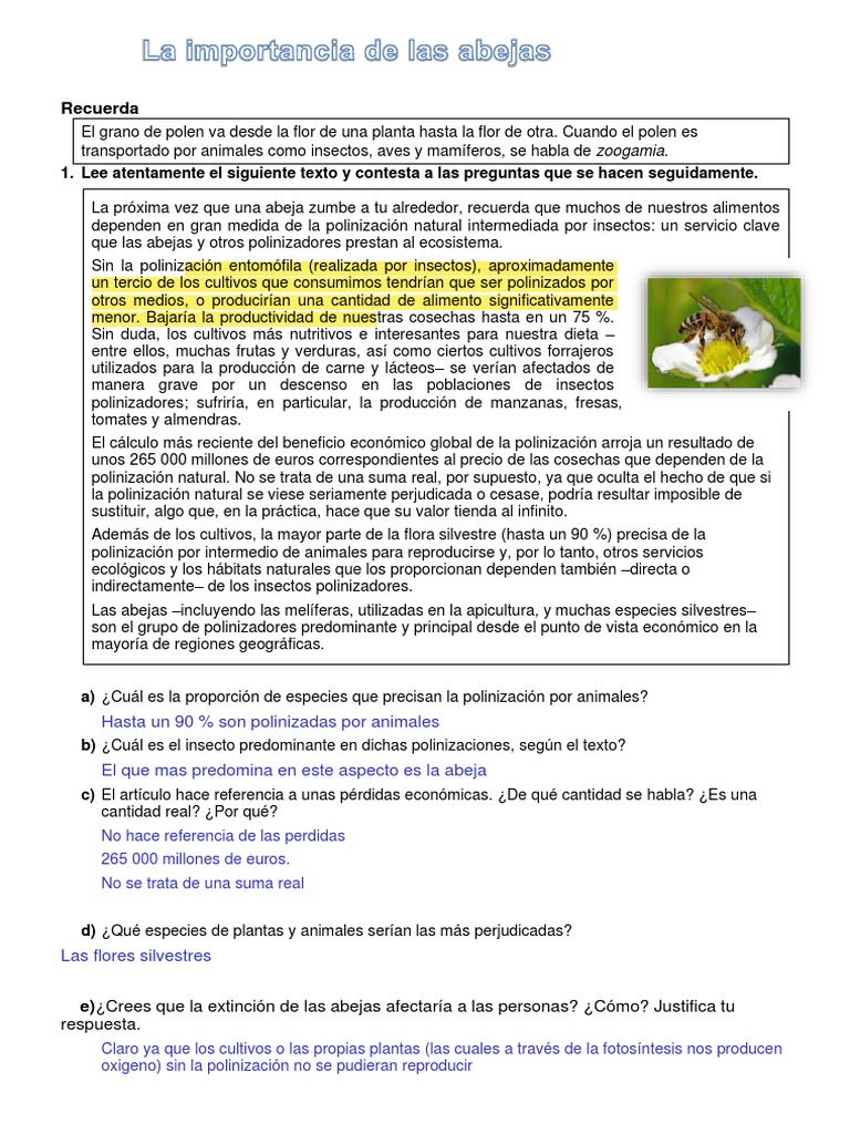 T4 Comprensión Lectora | PDF | Polinización | Insectos