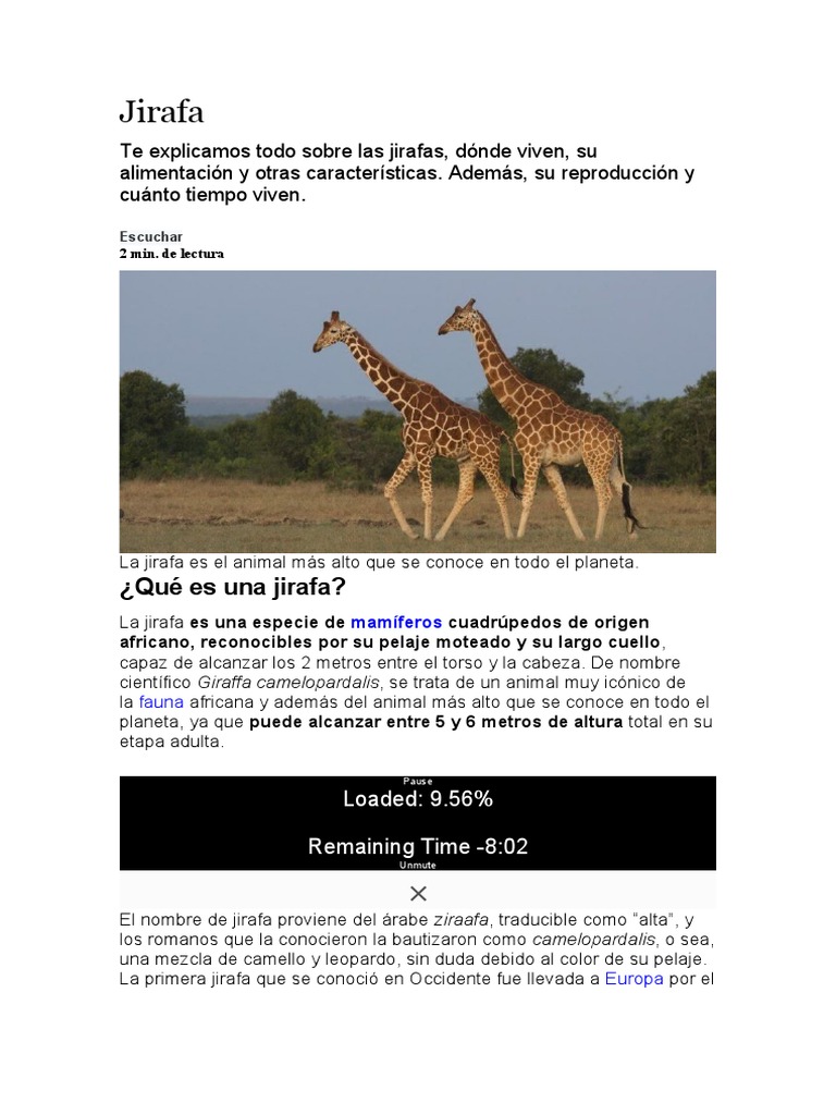 Jirafa Pdf