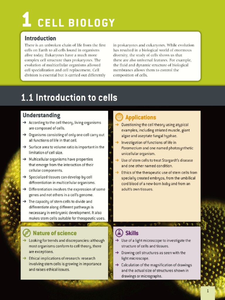 Unit 1 Cell Biology | PDF